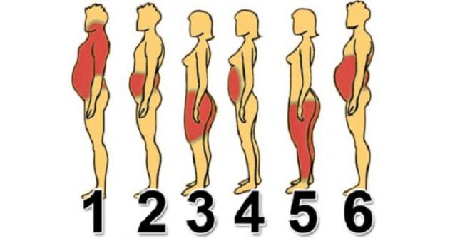 Obésité : les vraies causes ? – Le site du bien être et de la santé